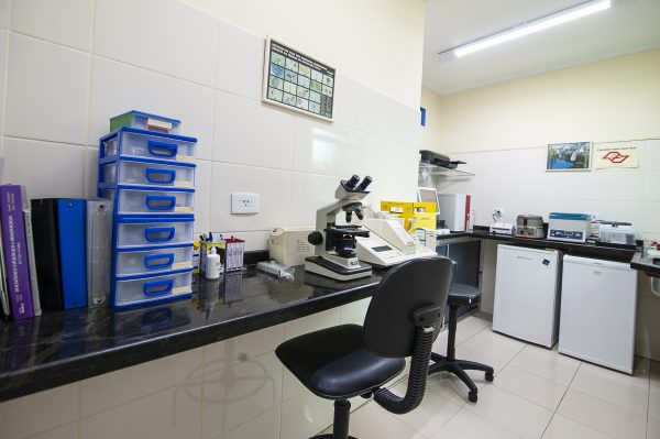 Golden Dog Mogi – Clínica veterinária especializada em cães e gatos